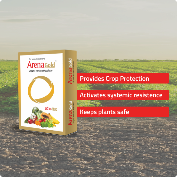 Arena Gold - Immune Modulator – Patil Biotech