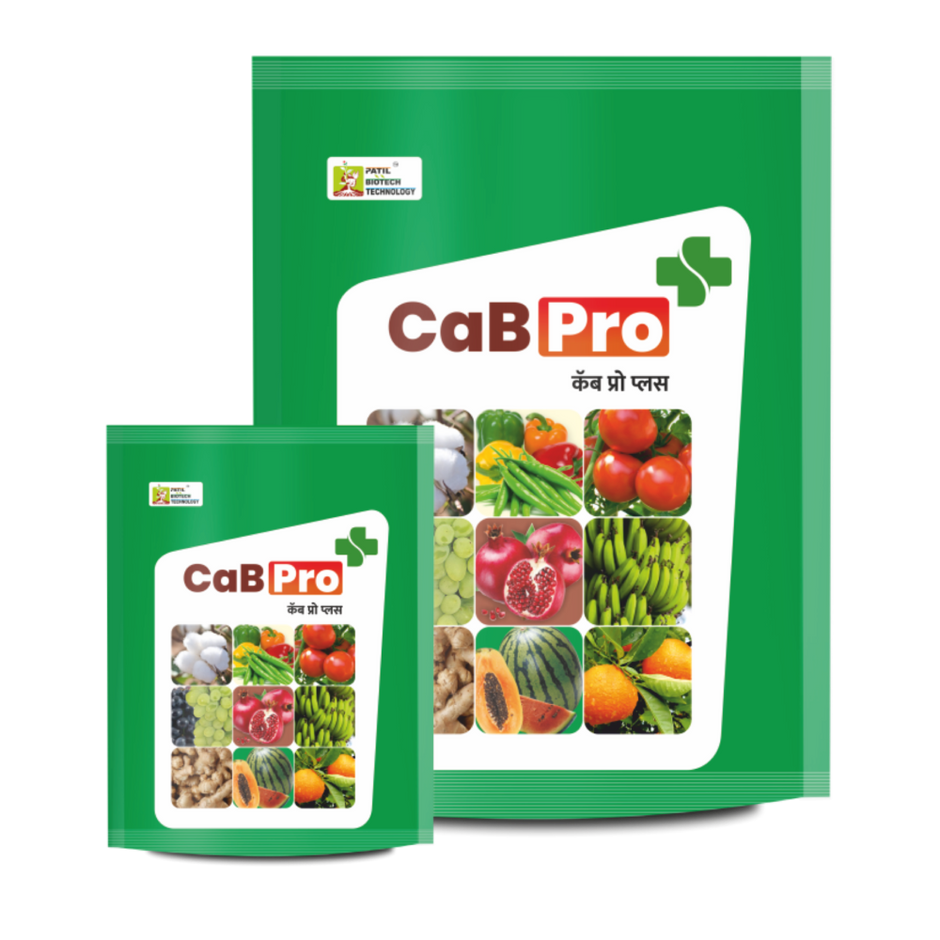 Best Agriculture Products Provider Company In India – Patil Biotech