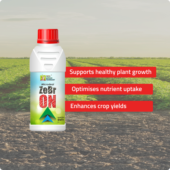 Zebron- Zinc Boron Micronutrients – Patil Biotech
